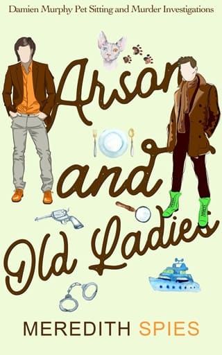 Arson and Old Ladies by Meredith Spies - EpubPub