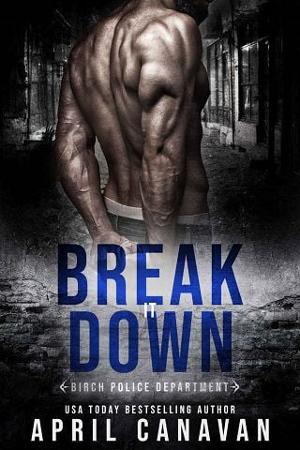 Break it Down by April Canavan - EpubPub