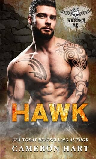 Hawk by Cameron Hart - EpubPub