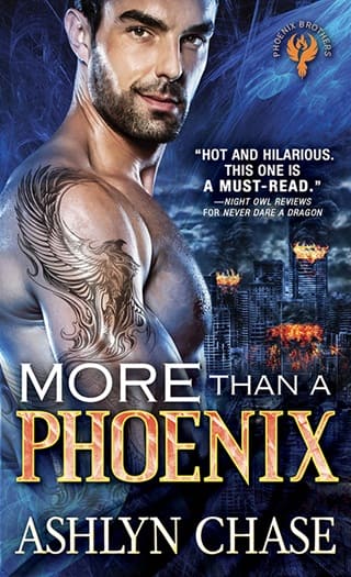 More than a Phoenix by Ashlyn Chase - EpubPub