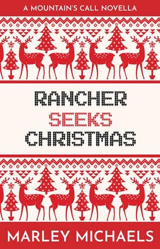 Rancher Seeks Christmas by Marley Michaels - EpubPub