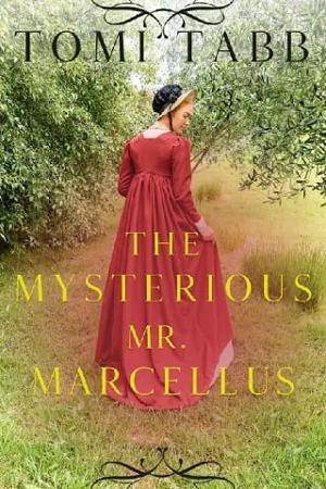 The Mysterious Mr. Marcellus by Tomi Tabb - EpubPub